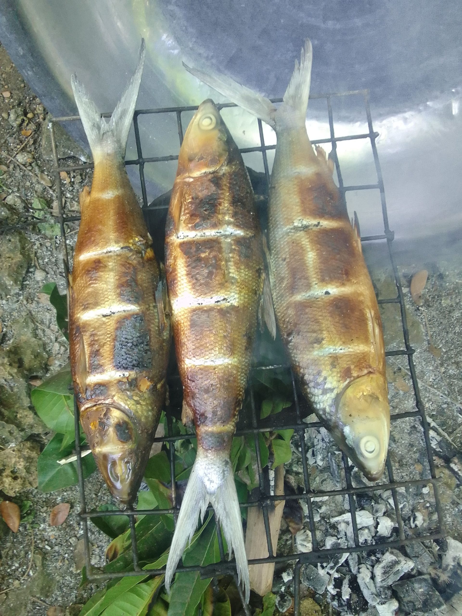 Hooked on Learning: Guimaras Youth Master Bangus Deboning Techniques ...